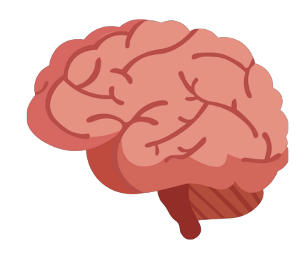 What is Neuro-Optometry? - Evans & Taylor Eye Care Group